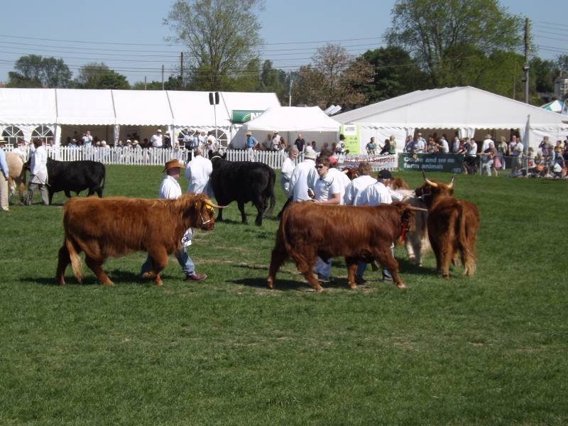 Jordan's Agri Photo's - Farm Talk - The Farm Toys Forum