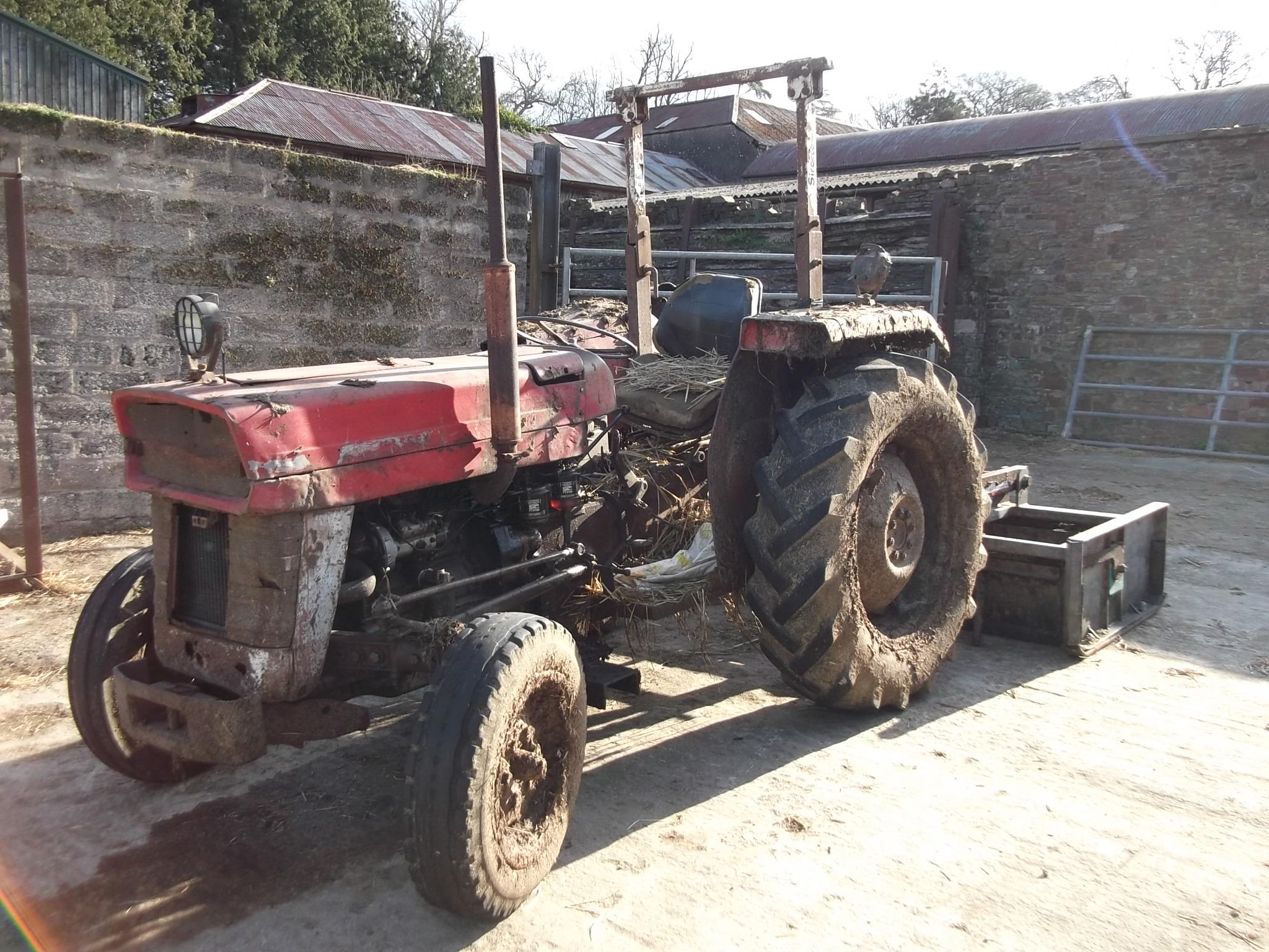 Dairy farm tractors - Tractors - The Farm Toys Forum