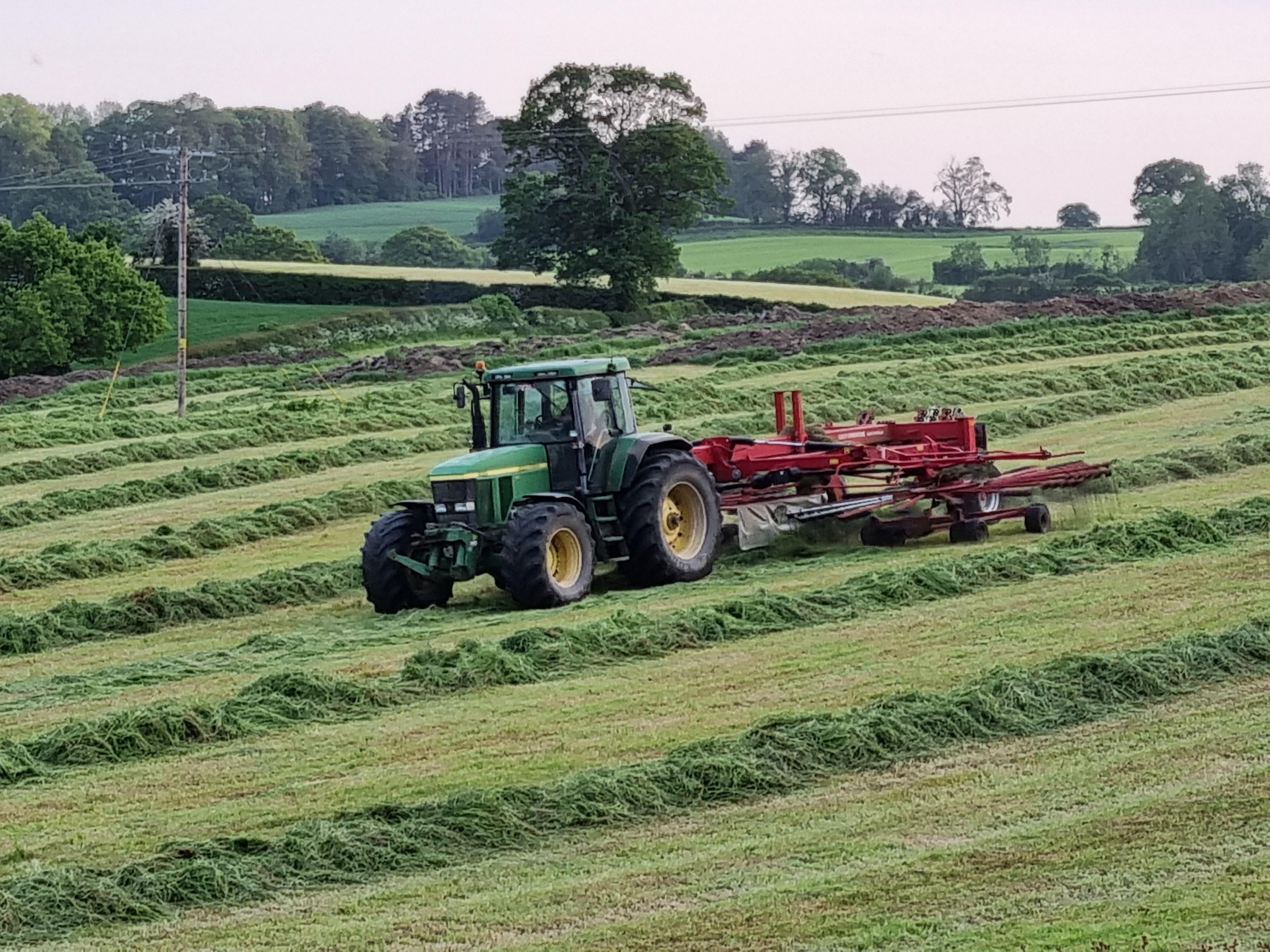 Grass 2023 - Farm Talk - The Farm Toys Forum